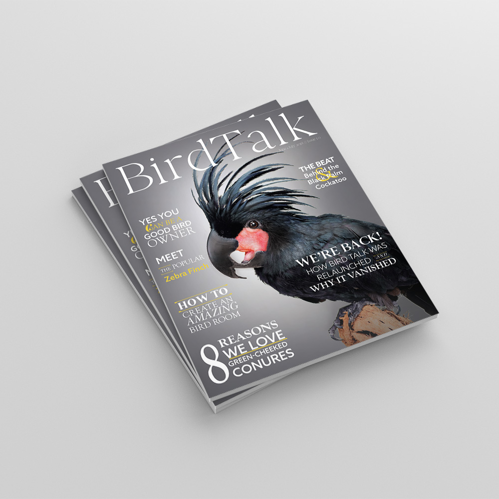 Home – Emily Coon | Portfolio